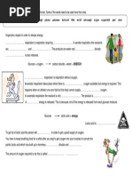 Grade 8 Physics Worksheet | PDF | Velocity | Speed