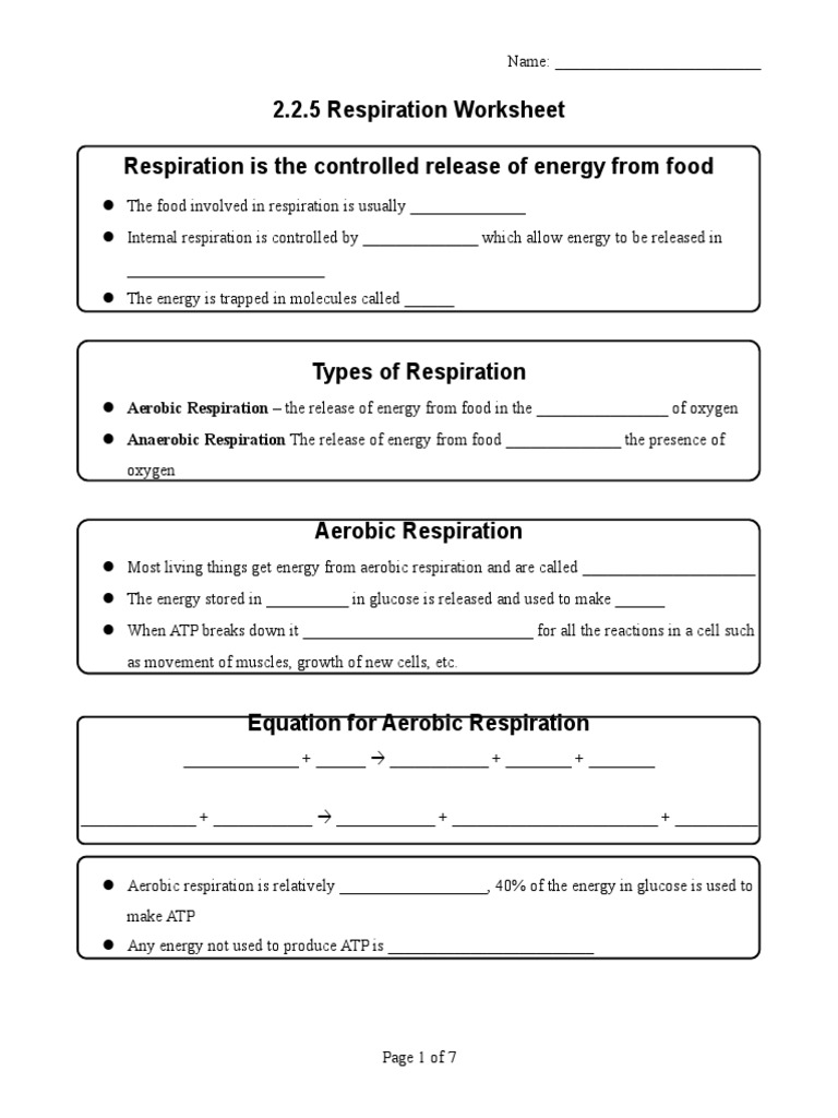 Cellular Respiration Worksheet 7th Grade New** GCSE Biology: Aerobic