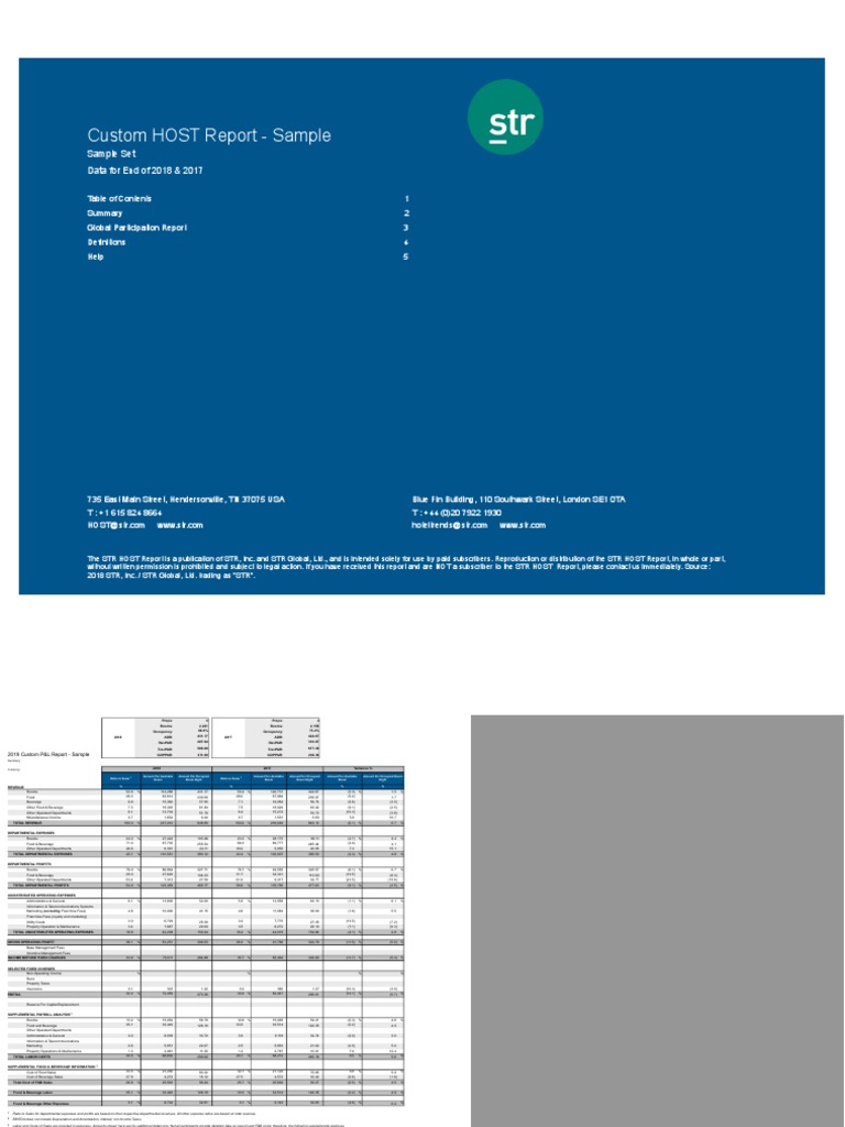 Custom HOST Report - Sample: Sample Set Data For End of 2018 & 2017 ...