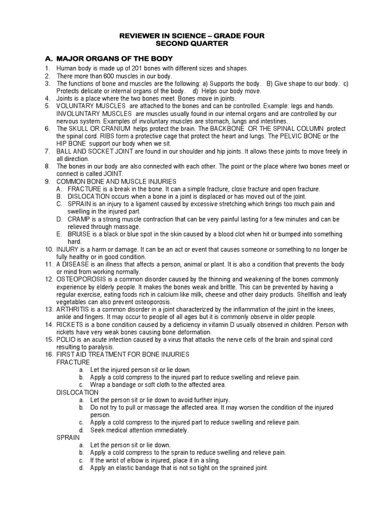 Grade 4 Science: Body Organs & Health | PDF | Digestion | Seed
