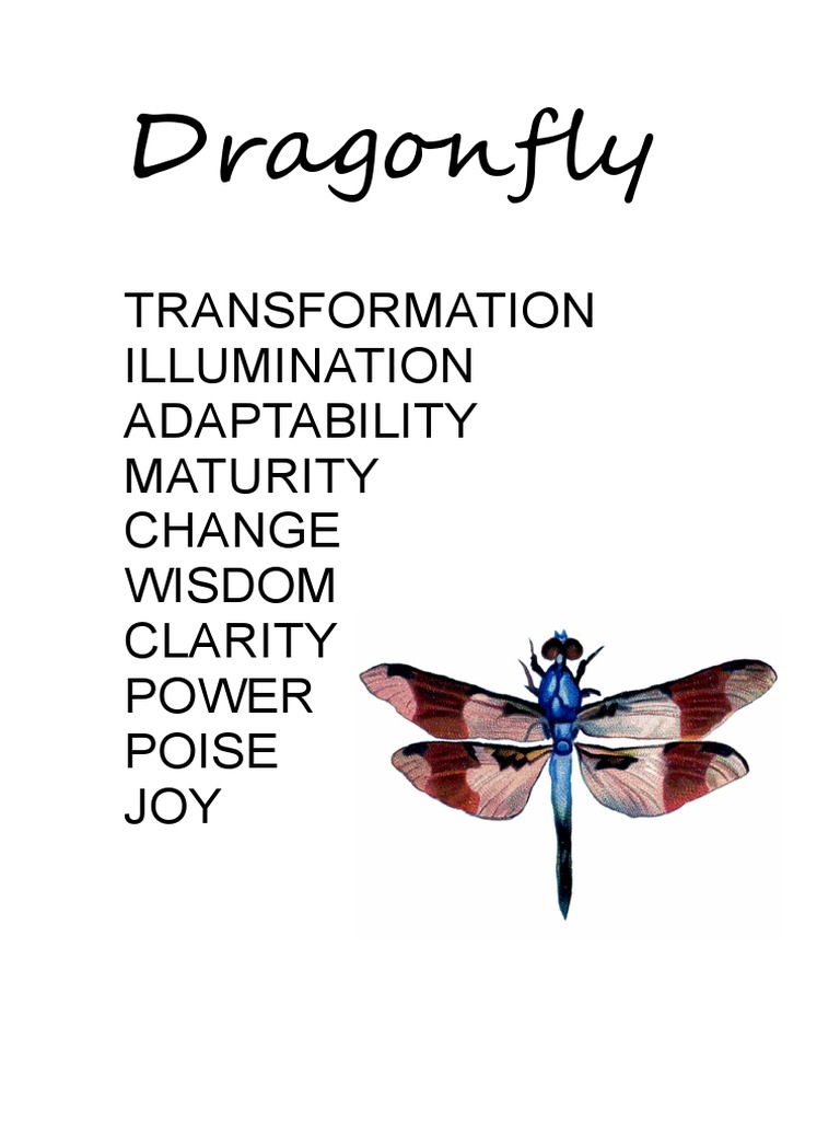 Dragonfly: Transformation Illumination Adaptability Maturity Change ...