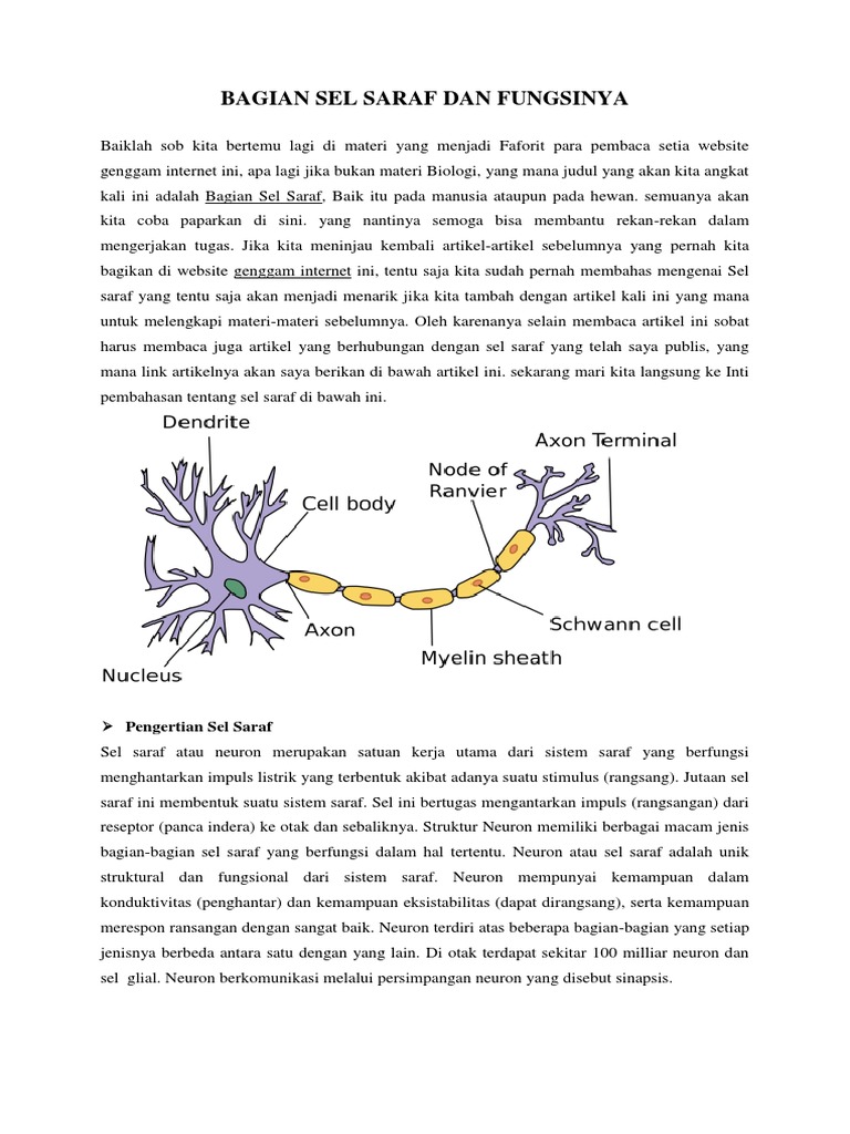 Bagiansistemsarafdanfungsinya