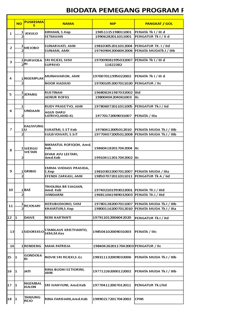 Biodata Pemegang Program 1 | PDF