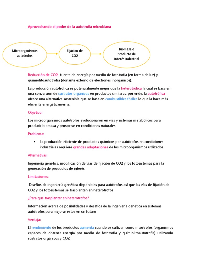 Aprovechando El Poder de La Autotrofia Microbiana-Harsenning | PDF ...