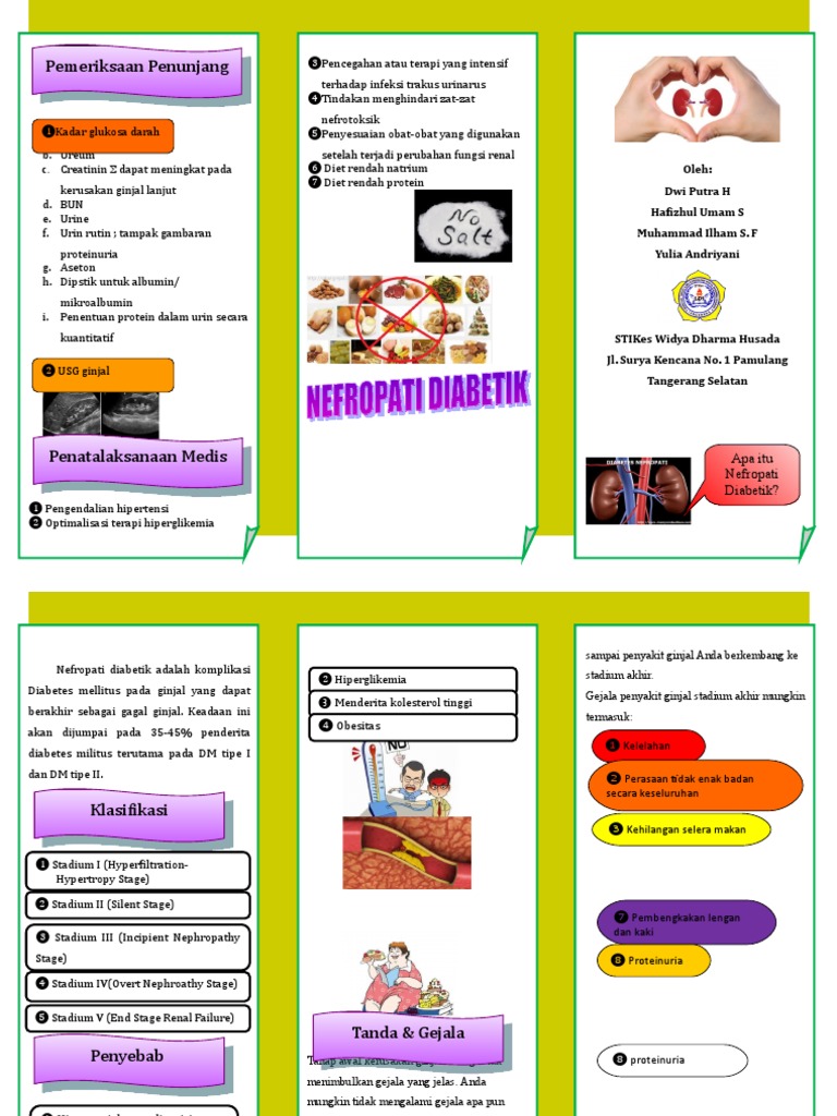 LEAFLET Nefropati Diabetik | PDF