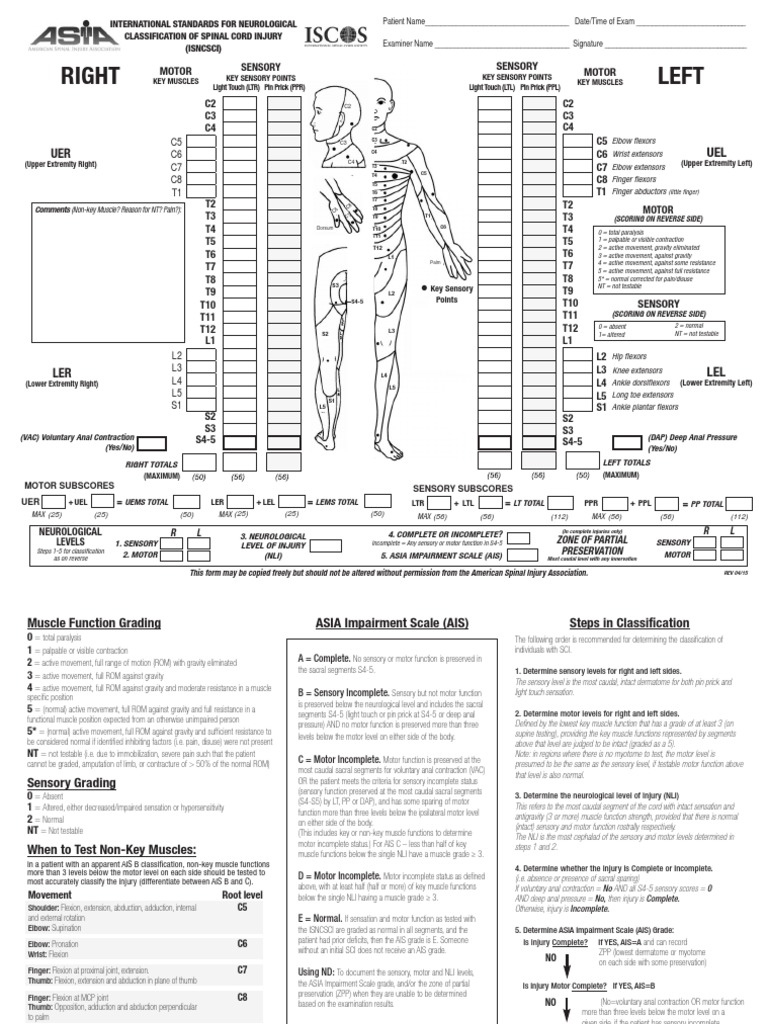 Isncsci Worksheet 2015 Web PDF | PDF | Human Anatomy | Musculoskeletal ...