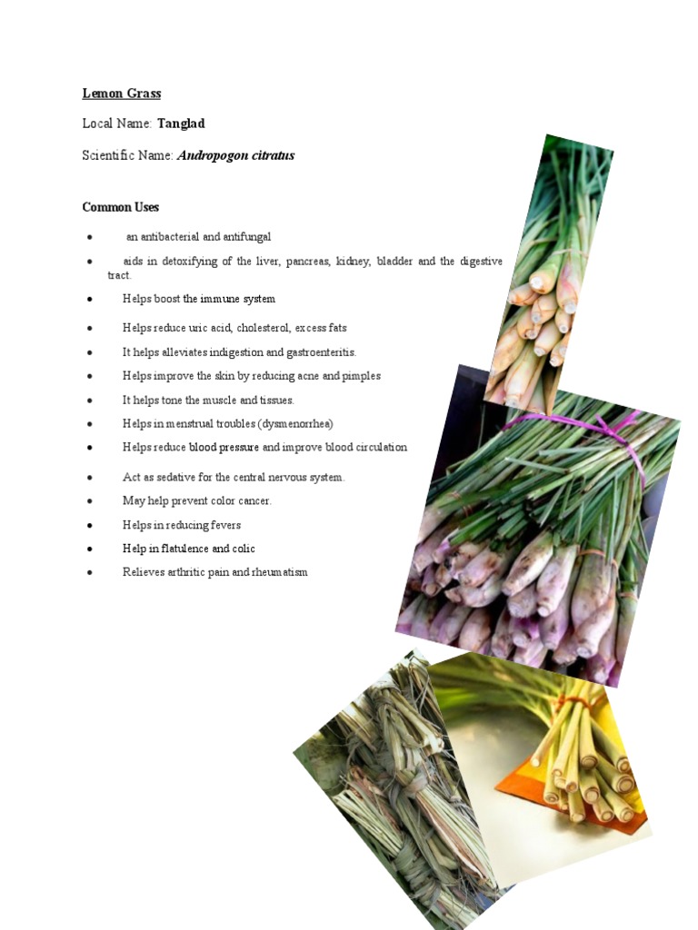 CHN Tanglad | PDF | Wellness