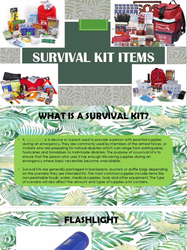 Essential Survival Kit Items List | PDF | Health Sciences | Wellness