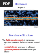 Samson Notes ALL IN ONE | PDF | Immune System | Axon