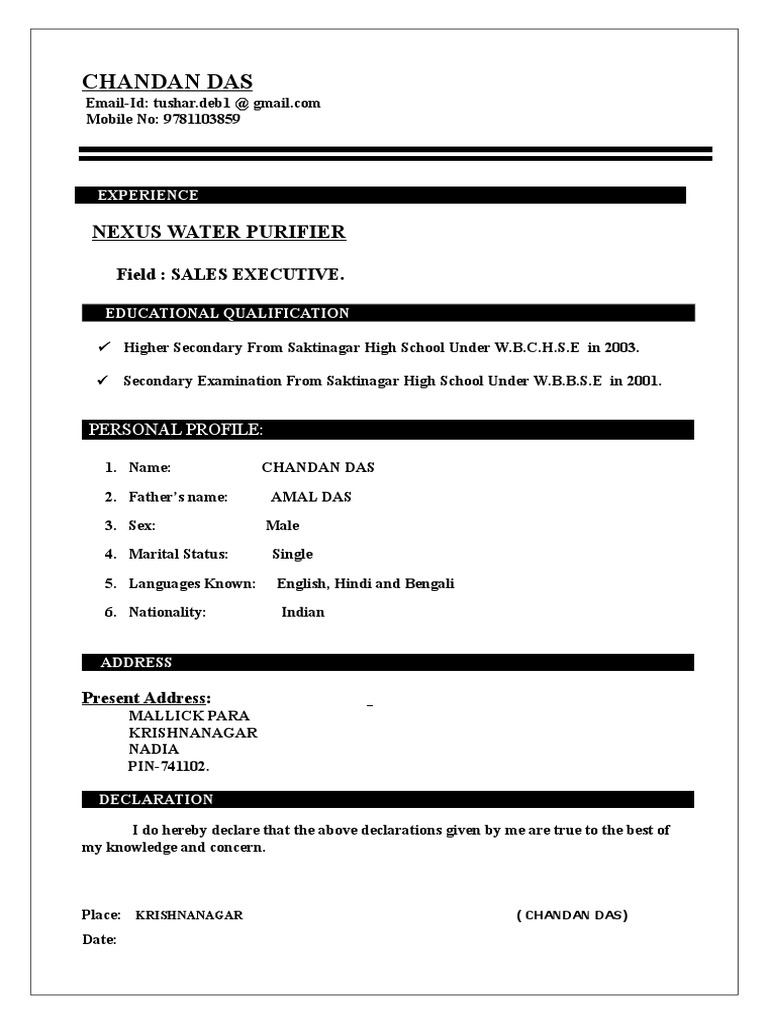 Chandan Das - Sales Executive Resume | PDF
