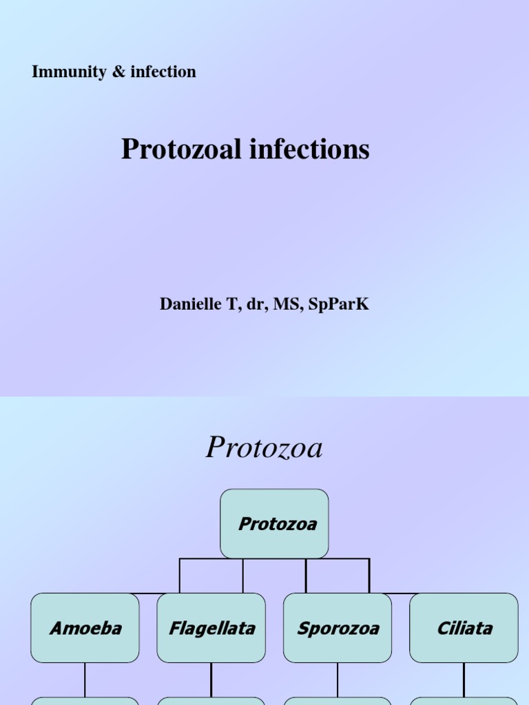 Protozoal Infections: Immunity & Infection | PDF | Microbiology ...