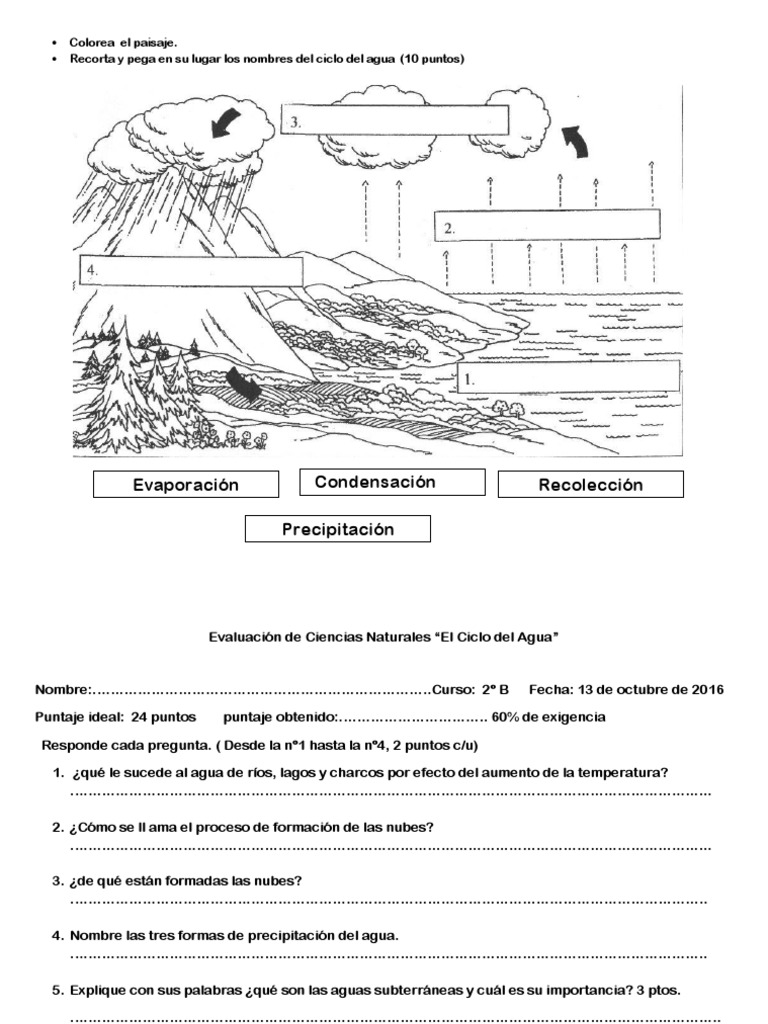 Evaluacion Ciclo Del Agua | PDF | Métodos y materiales de enseñanza