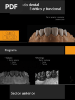 Morfología Dental: Guía Completa | PDF | Anatomia dental | Boca