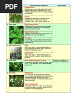Khasiat 7 Obat Cina Legendaris | PDF