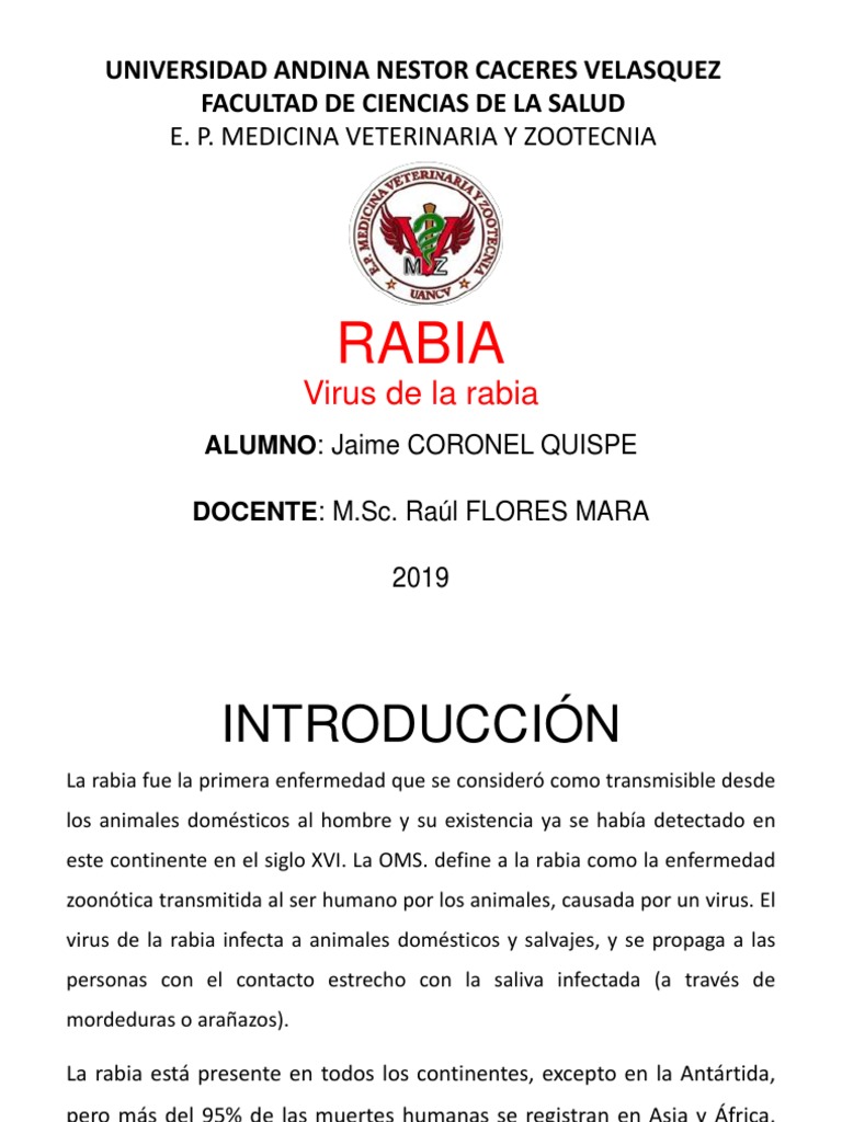 Diapositivas Rabia PPT - 1890105895 | PDF | Rabia | Virus
