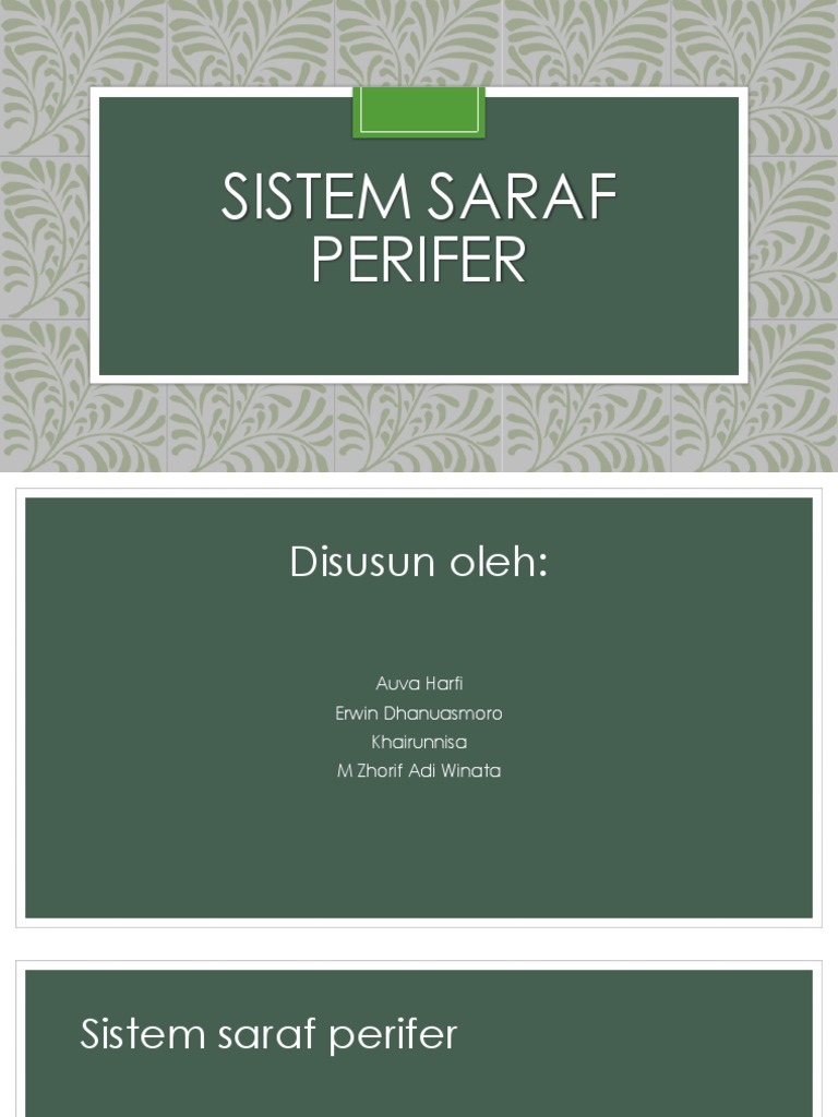 Definisi dan Fungsi Sistem Saraf Perifer | PDF