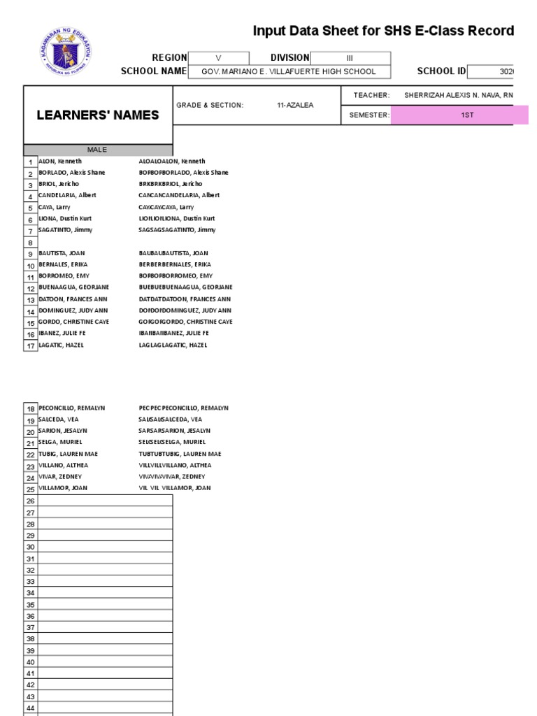 Learners' Names: Input Data Sheet For SHS E-Class Record | PDF