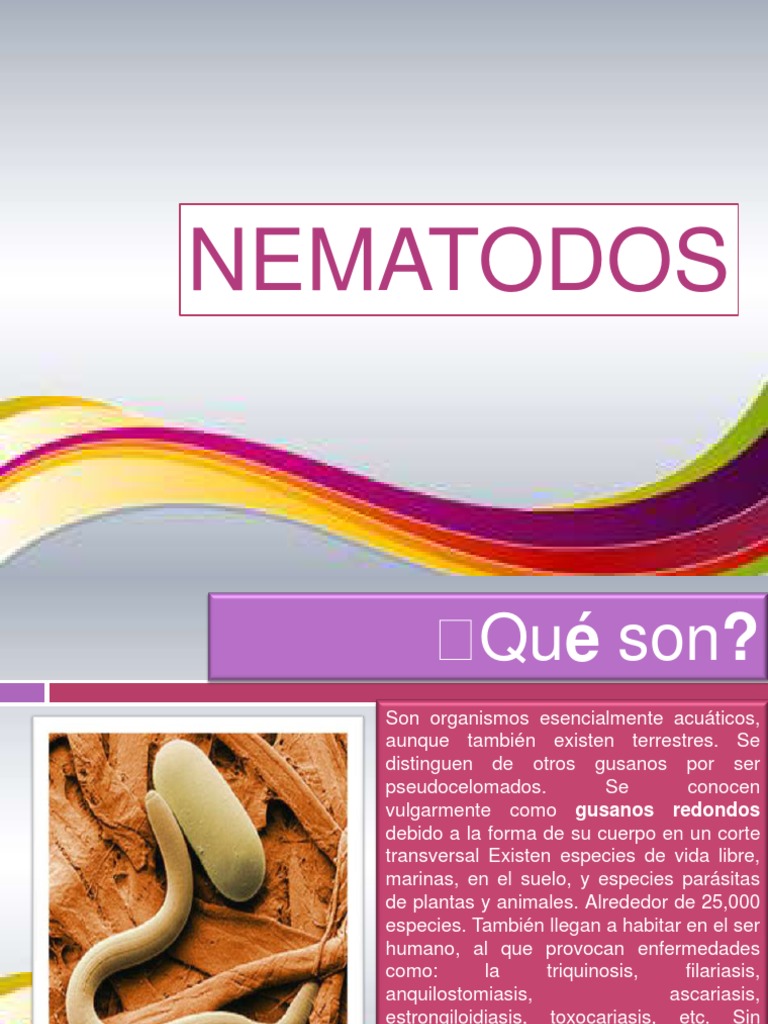 Nematodos | PDF | Nematodo | Organismos