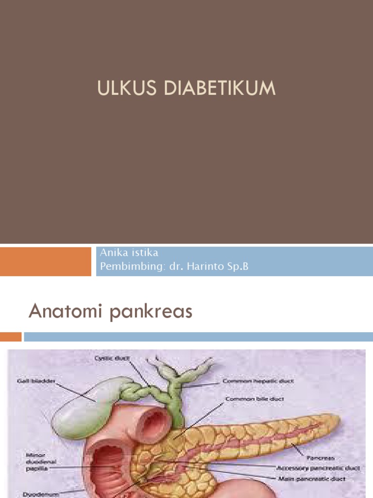 Ulkus DM | PDF