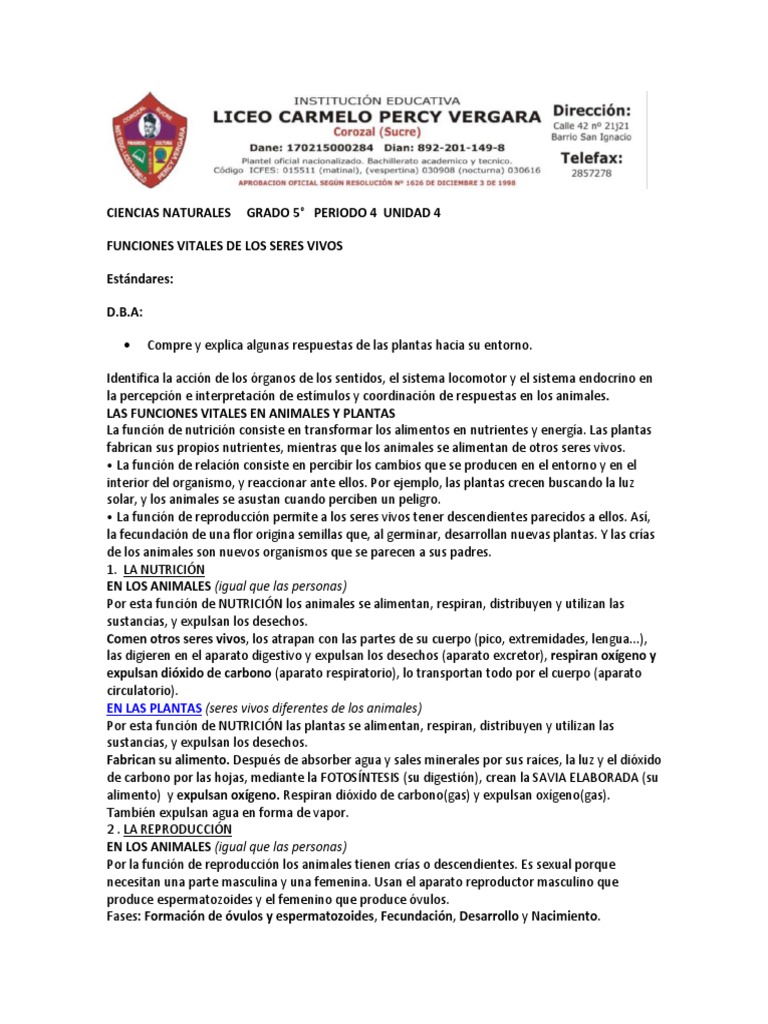 Las Funciones Vitales en Animales y Plantas | PDF | Germinación | Plantas
