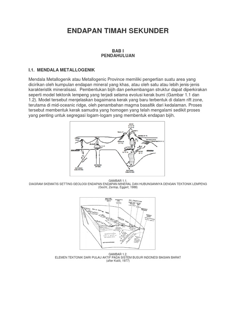 Makalah TIMAH SEKUNDER | PDF