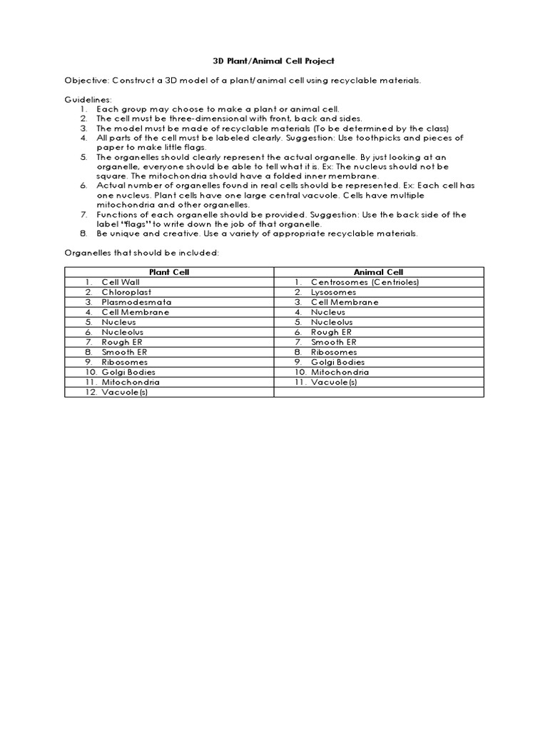 3D Cell Project | PDF | Eukaryotes | Cell (Biology)