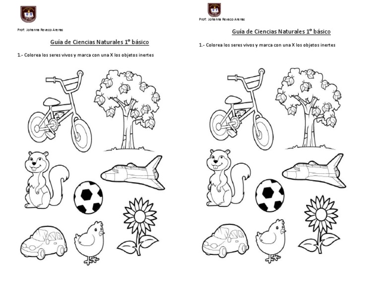 Guía de Ciencias Naturales Seres Vivos Seres Inertes | PDF