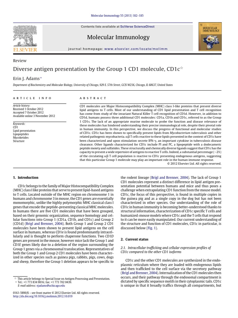 Diverse Antigen Presentation by The Group 1 CD1 Molecule, CD1c | PDF ...