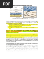 IMPORTANCIA DE LA MEMBRANA DE BRUCH EN LAS DEGENERACIONES RETINIANAS ...