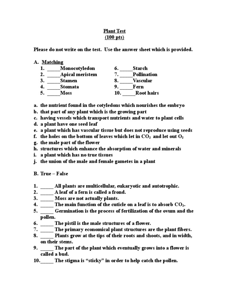 Plant Test | PDF | Plants | Seed