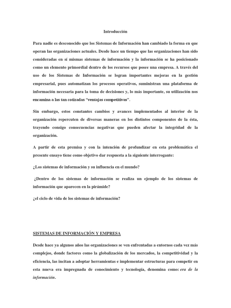 Ensayo de Informática | PDF | Sistema de informacion | Sistema de ...
