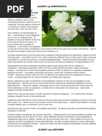 Buod NG Maria Makiling | PDF