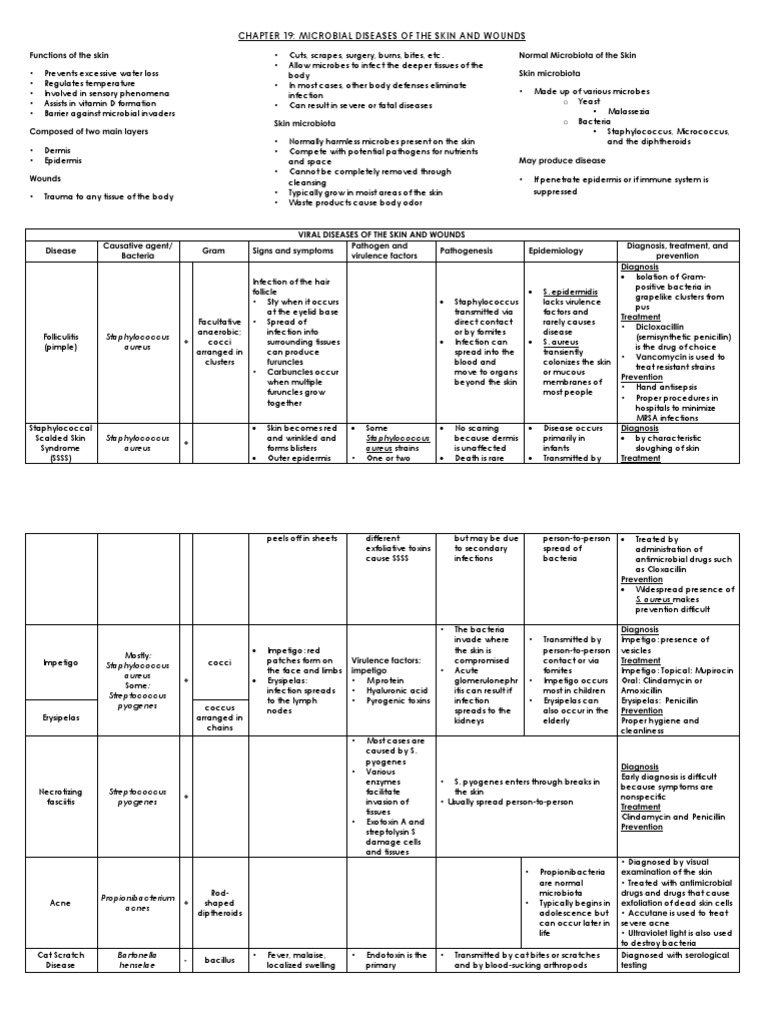 Chapter 19 Microbial Diseases of The Skin and Wounds | PDF | Infection | Measles