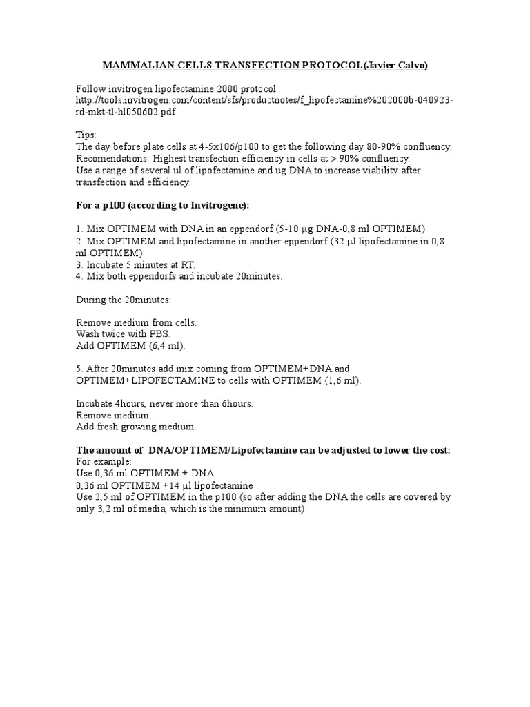 Mammalian Cell Transfection Guide | PDF