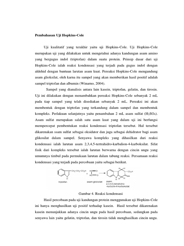 Uji Hopkins-Cole untuk Triptofan | PDF