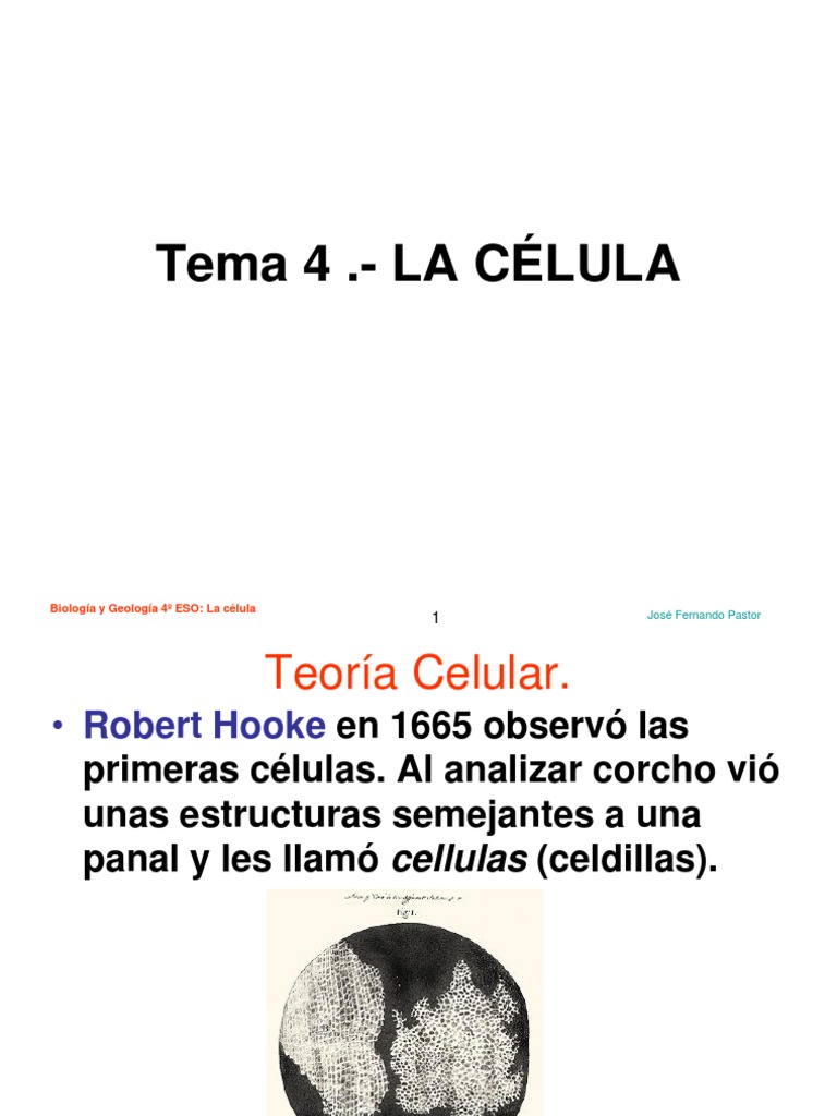 La Célula: Estructura y Funciones | PDF | Mitosis | Biología Celular)