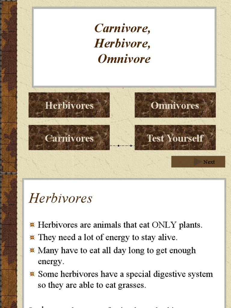 Carnivore, Herbivore, Omnivore: Herbivores Carnivores Omnivores Test ...