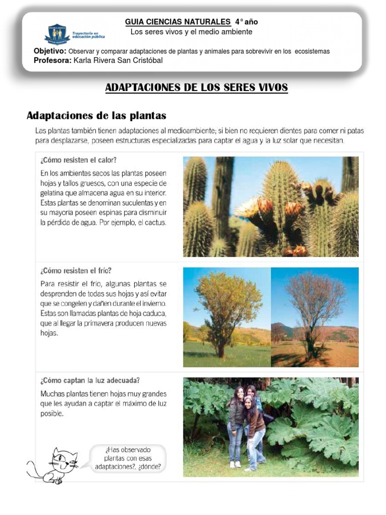 Adaptaciones de las Plantas en Ecosistemas | PDF