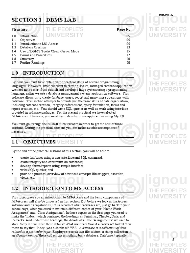 Section 1 Dbms Lab: Structure Page No | PDF | Databases | Database Index