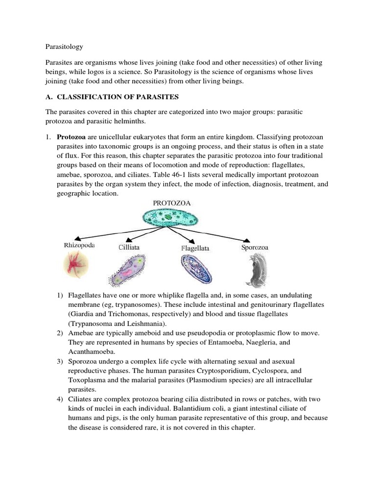 A. Classification of Parasites | PDF | Parasitism | Protozoa