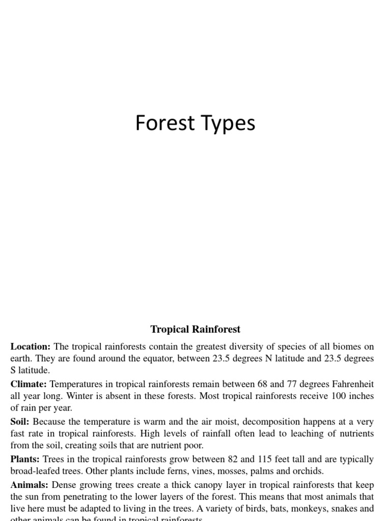 Forest Types | PDF | Rainforest | Forests