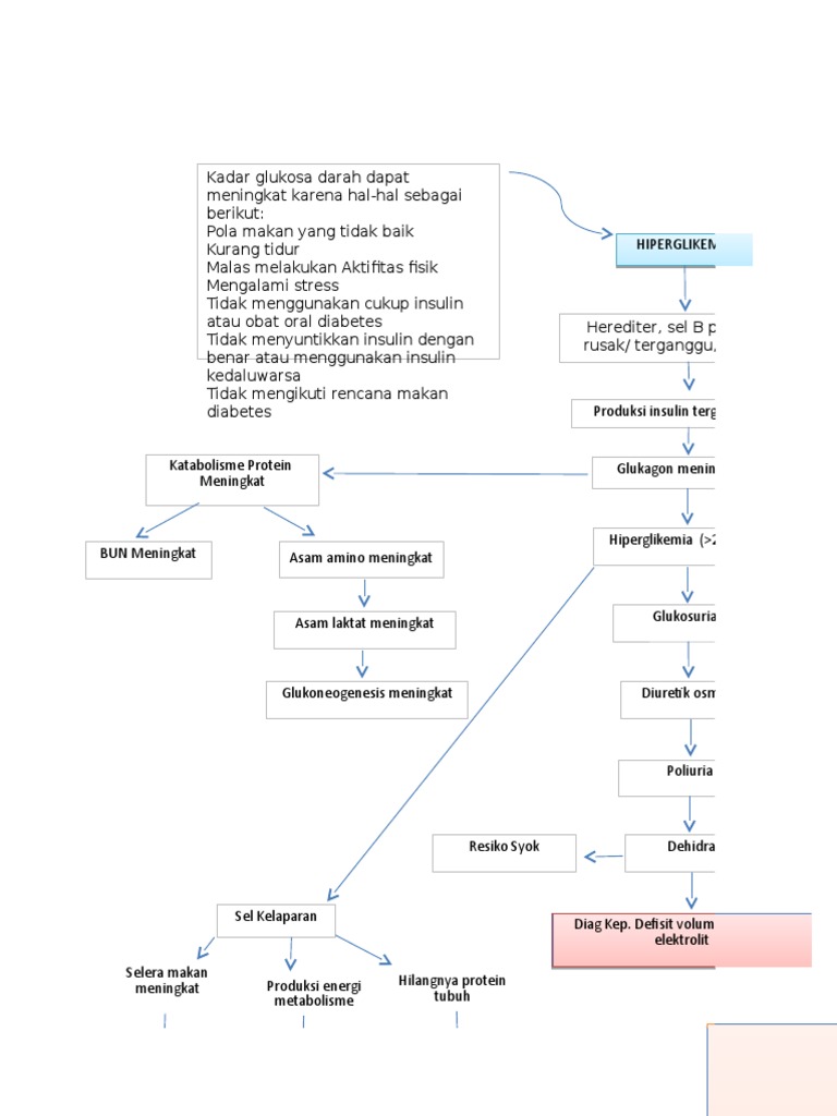 Komplikasi Hiperglikemia dan Tindakan Keperawatan Preventif | PDF