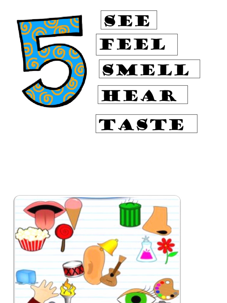 SEE Feel Smell Hear Taste | PDF