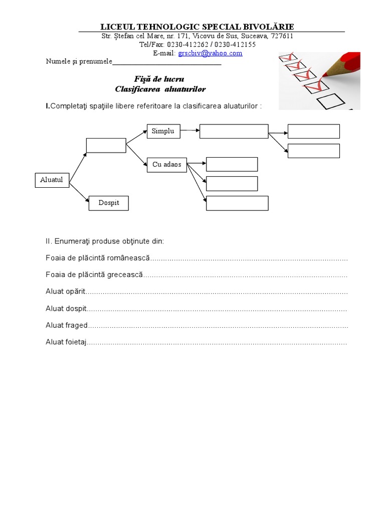 Fisa de Lucru Aluaturi Clasificare | PDF