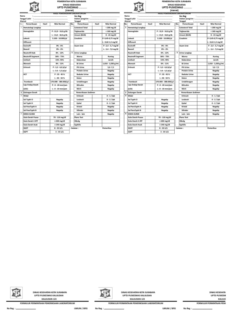 Form Permintaan Dan Hasil Lab | PDF