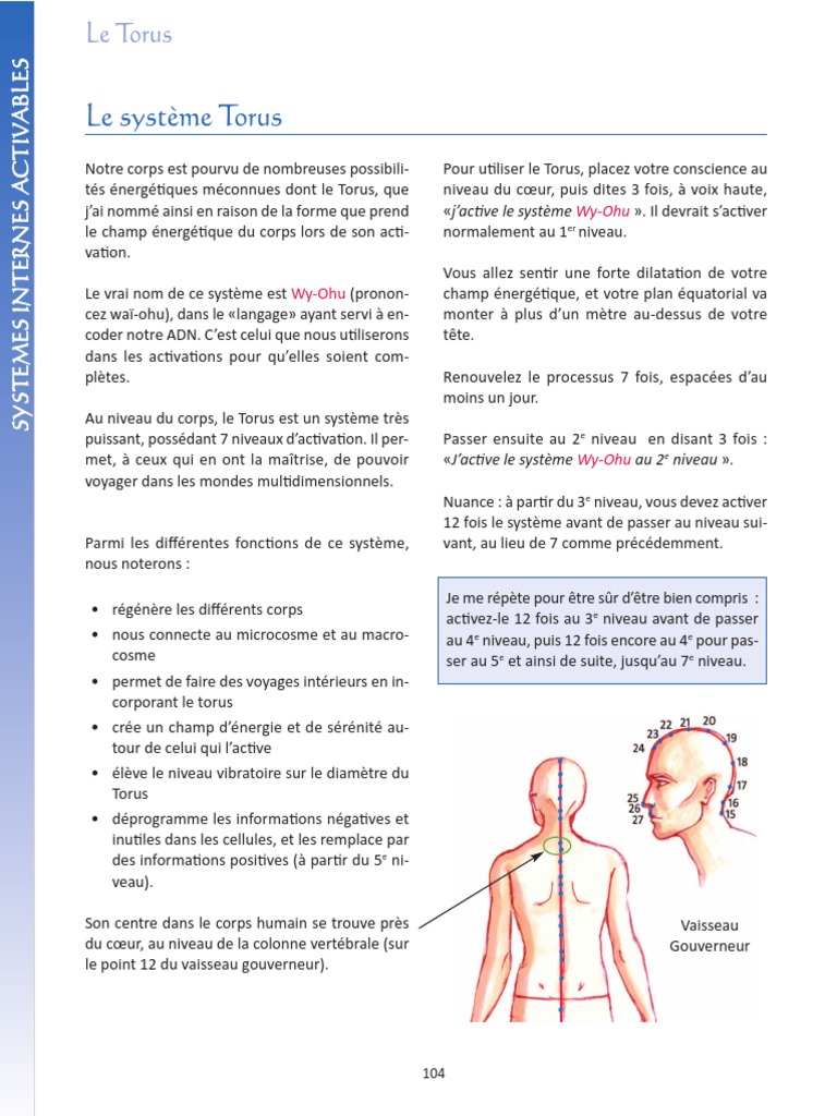 Activation du Torus dans le corps humain | PDF | La nature