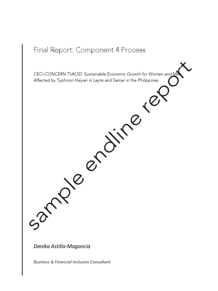 Sample Endline Report | PDF | Microfinance | Entrepreneurship