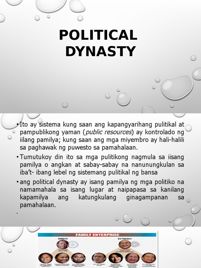 Political Dynasty | PDF