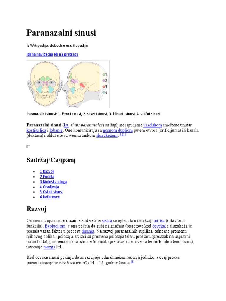 Paranazalni Sinusi | PDF