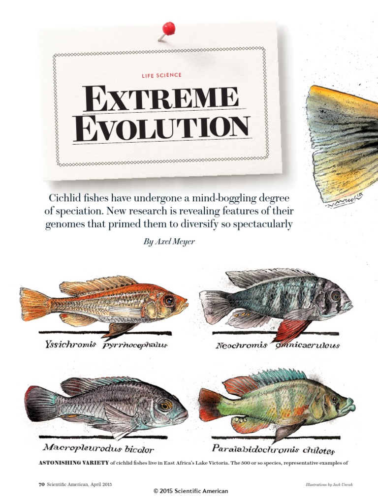 Extreme Evolution - SA Apr 2015 | PDF | Gene | Evolution